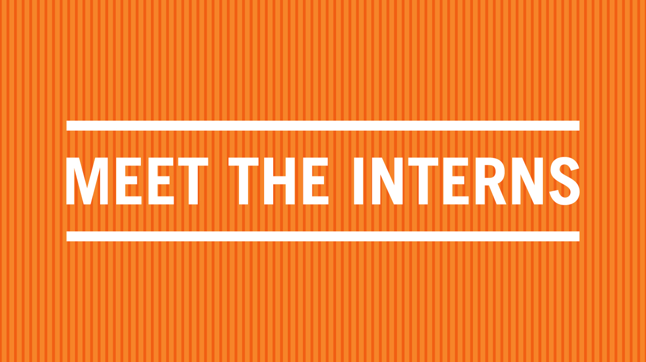 Meet The Interns Summer 2015